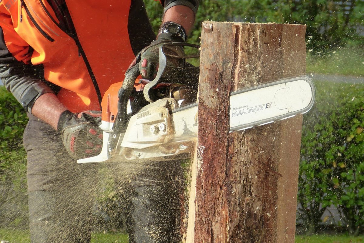 Forêts et gestion forestière – Arbre Haie Forêt